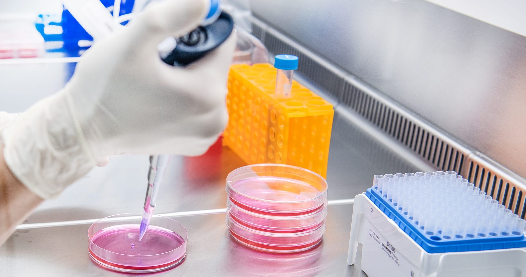 BSL-2 Zellkultur-Labor » COREMED